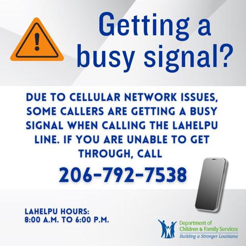 DSNAP, SNAP replacements and supplements authorized for certain ...