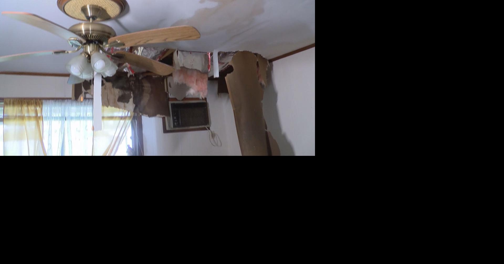 Hurricane Francine damage in Morgan City | | kadn.com