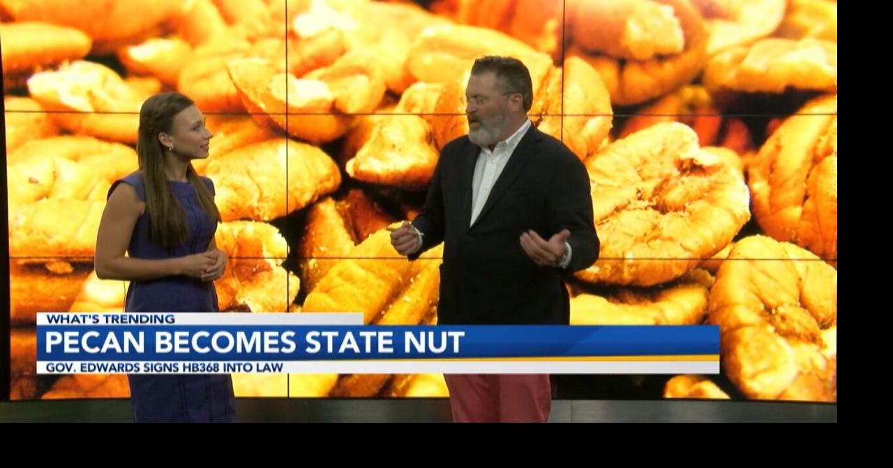 Pecan Becomes Louisiana State Nut | News | kadn.com