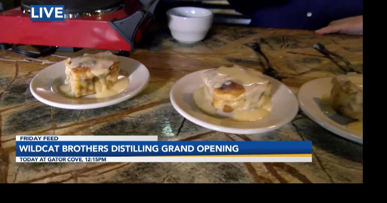We're at Wildcat Brothers talking about the ribbon cutting . | Video ...