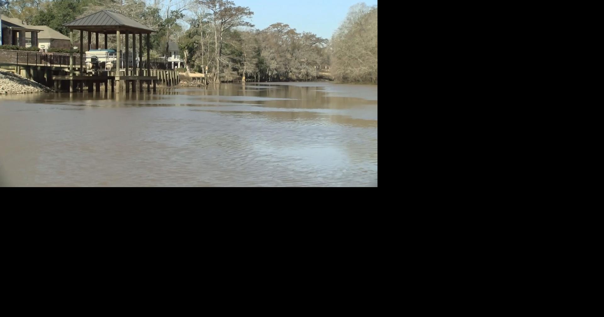 Clean and Beautiful Acadiana: Bayou Vermilion District | Features ...