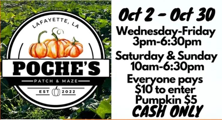 Poche's Patch & Maze Getting Ready For Fall, Announcing New Features ...