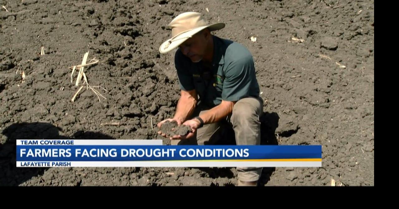 Famers Facing Extreme Heat & Drought | News | kadn.com