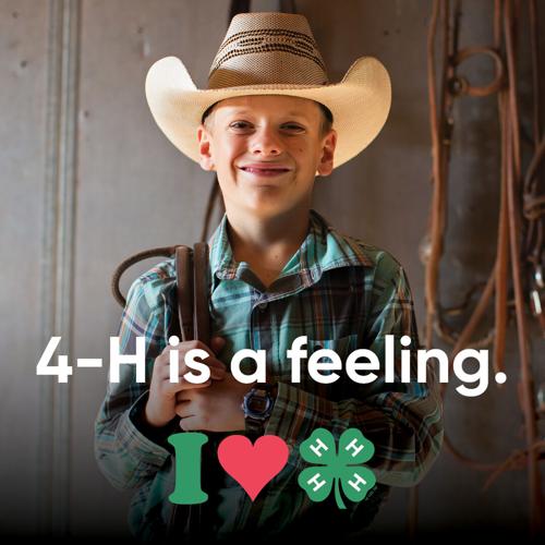 It's National 4-H Week! Learn How 4-H Can Create A Lasting Impact For ...