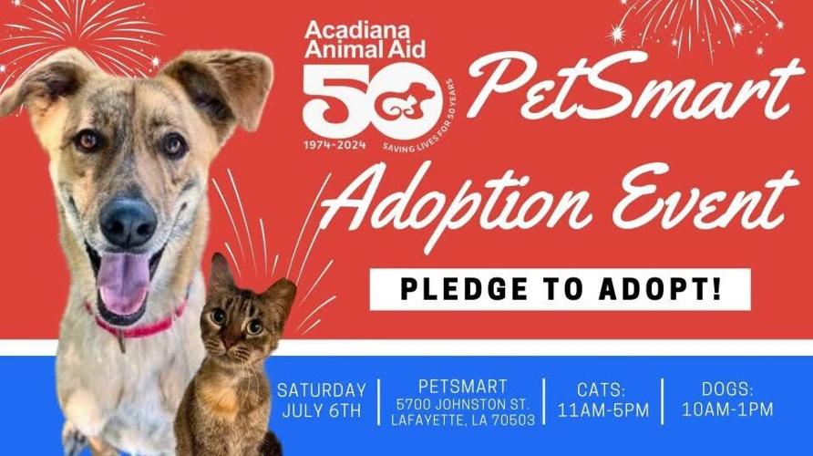 Pet Tuesday: Adopt O'livia! Acadiana Animal Aid's Pet of the Week ...