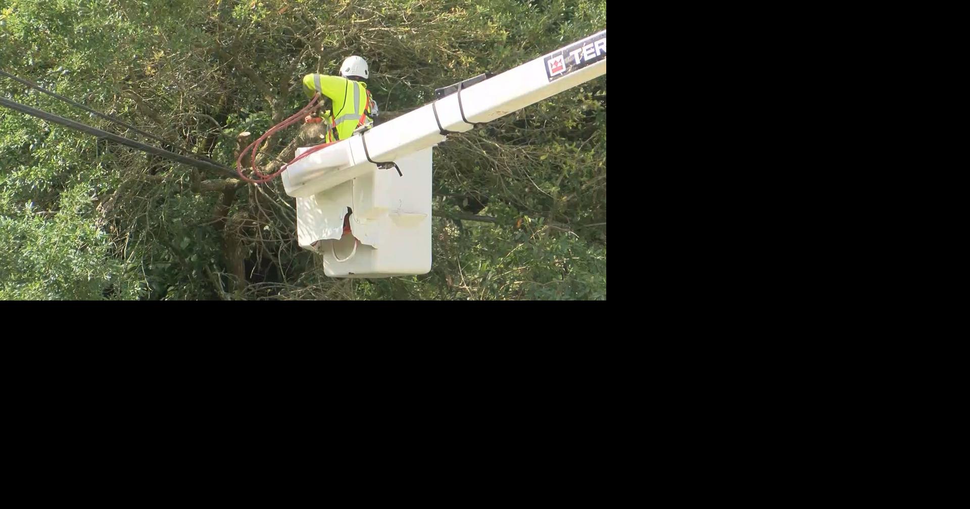 Cleco trims trees in New Iberia ahead of hurricane season | Tracking ...