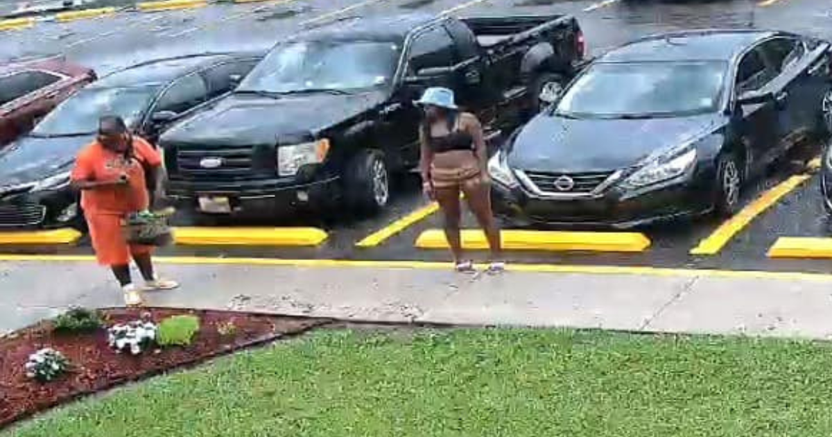 Breaux Bridge violent robbery results in victim hospitalized | Crime ...