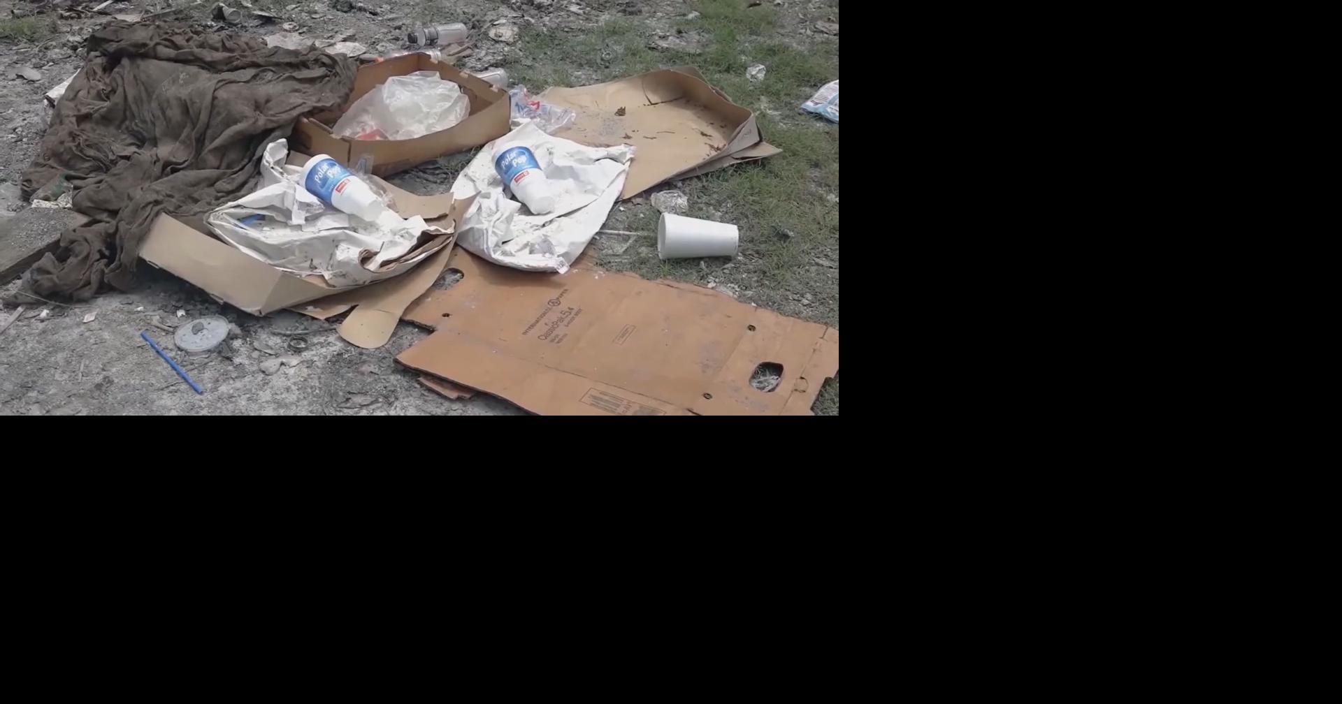 Louisiana spends more than $90 million a year to clean up litter ...
