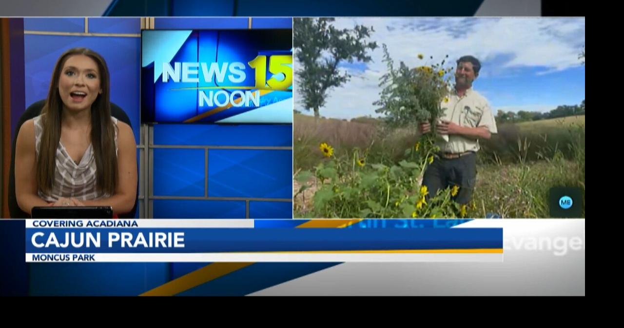 Cajun Prairie at Moncus Park is Blooming! See How You Can Save ...