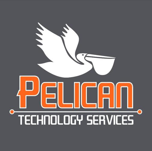 Pelican Technology Services Offers Tips To Secure Your Home | Features | kadn.com