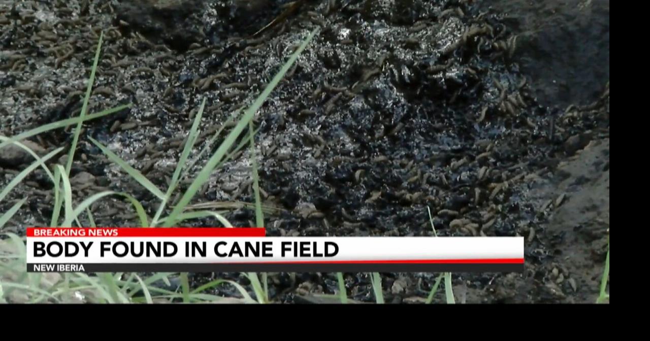 Missing Youngsville teen Javion Batiste's body found in sugar cane ...