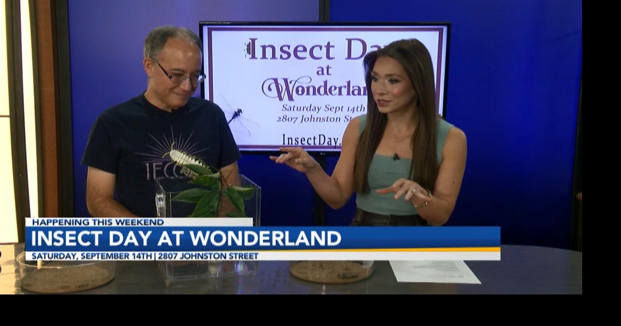 Happening This Weekend: Insect Day at Wonderland Performing Arts ...