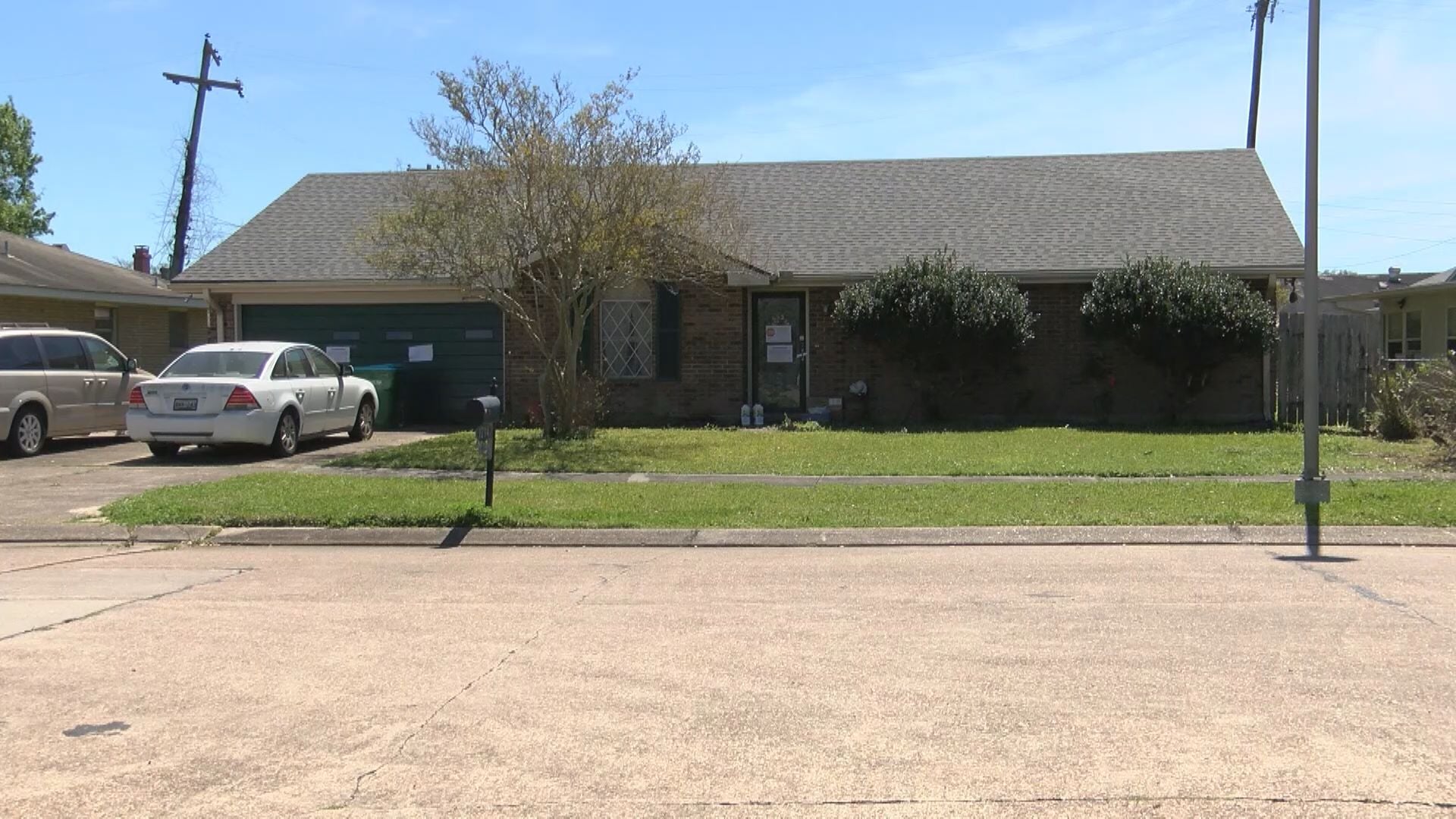 Morgan City elderly woman charged with animal cruelty after 14 cats ...