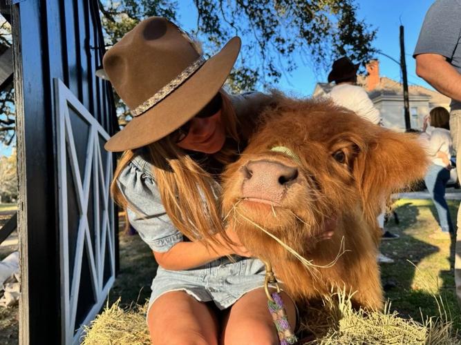 Sugar Roots Farm Spring Fest Benefits New Orleans' Beloved Family Farm ...