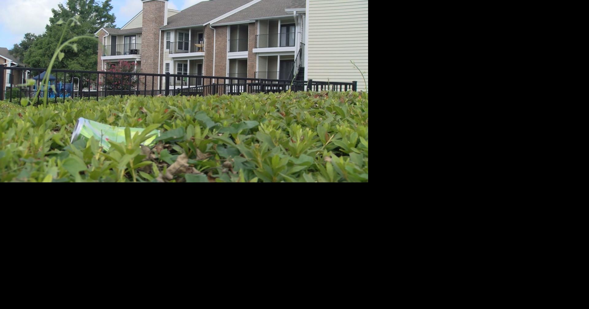 Overnight Lafayette shooting leaves 18-year-old dead; 3 arrested on ...