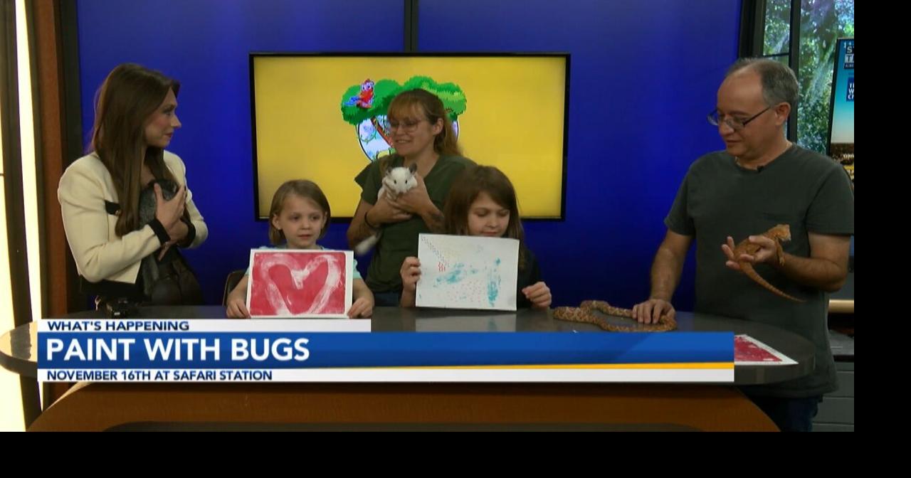Paint With Bugs with Safari Station, Plus Meet Their Newest Animal ...