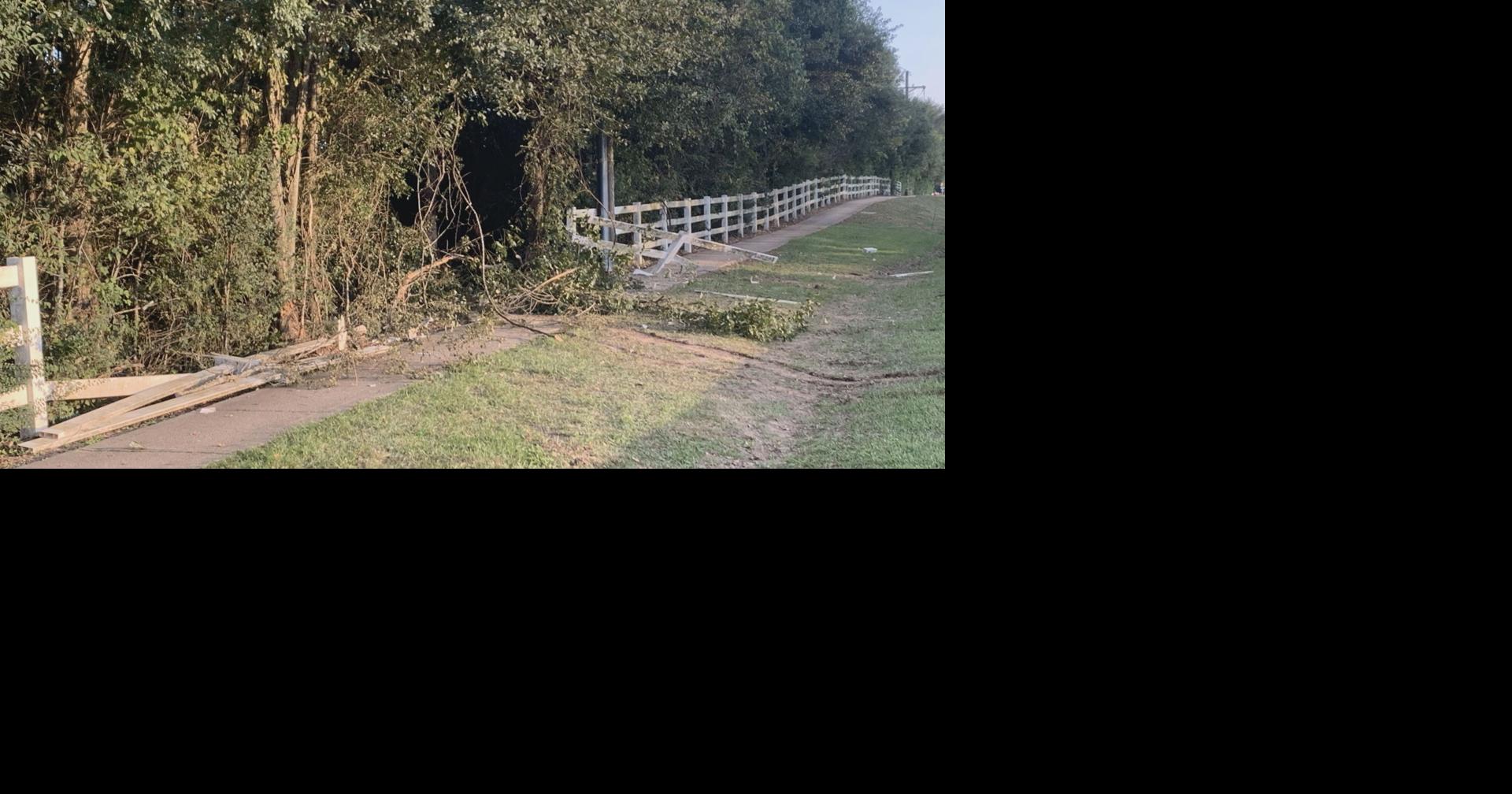 Driver dies after hitting fence and tree in Broussard | Local | kadn.com