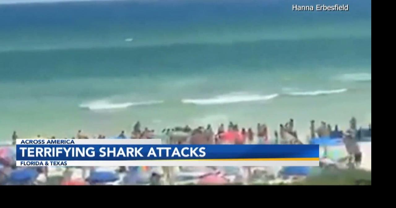 3 people injured in 2 shark attacks at neighboring Florida beaches just ...