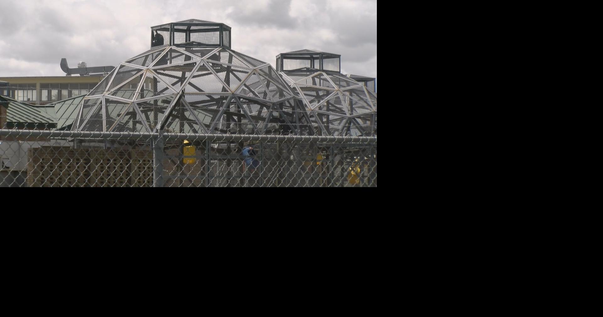 Federal records show UL cited for improper transport of monkeys ...