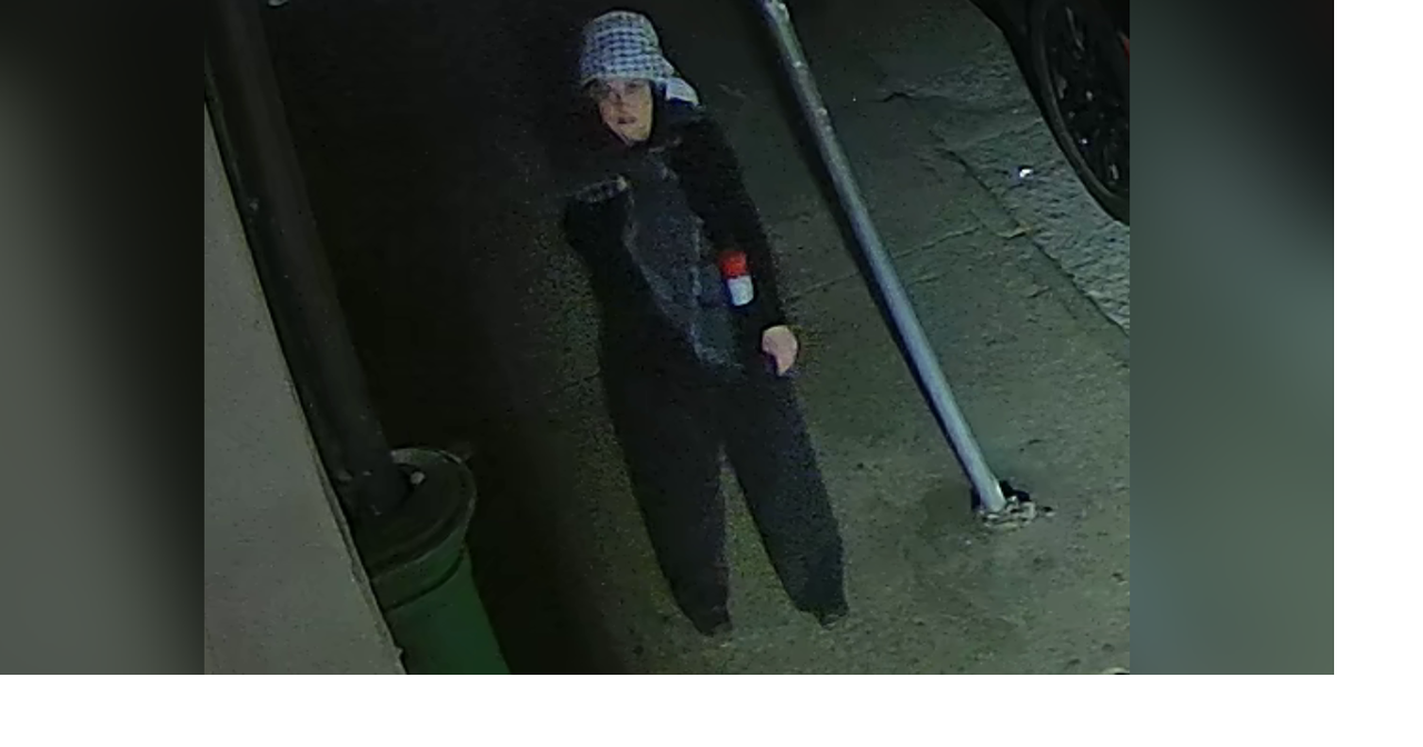 'Coward defaced a Louisiana landmark in the middle of the night ...