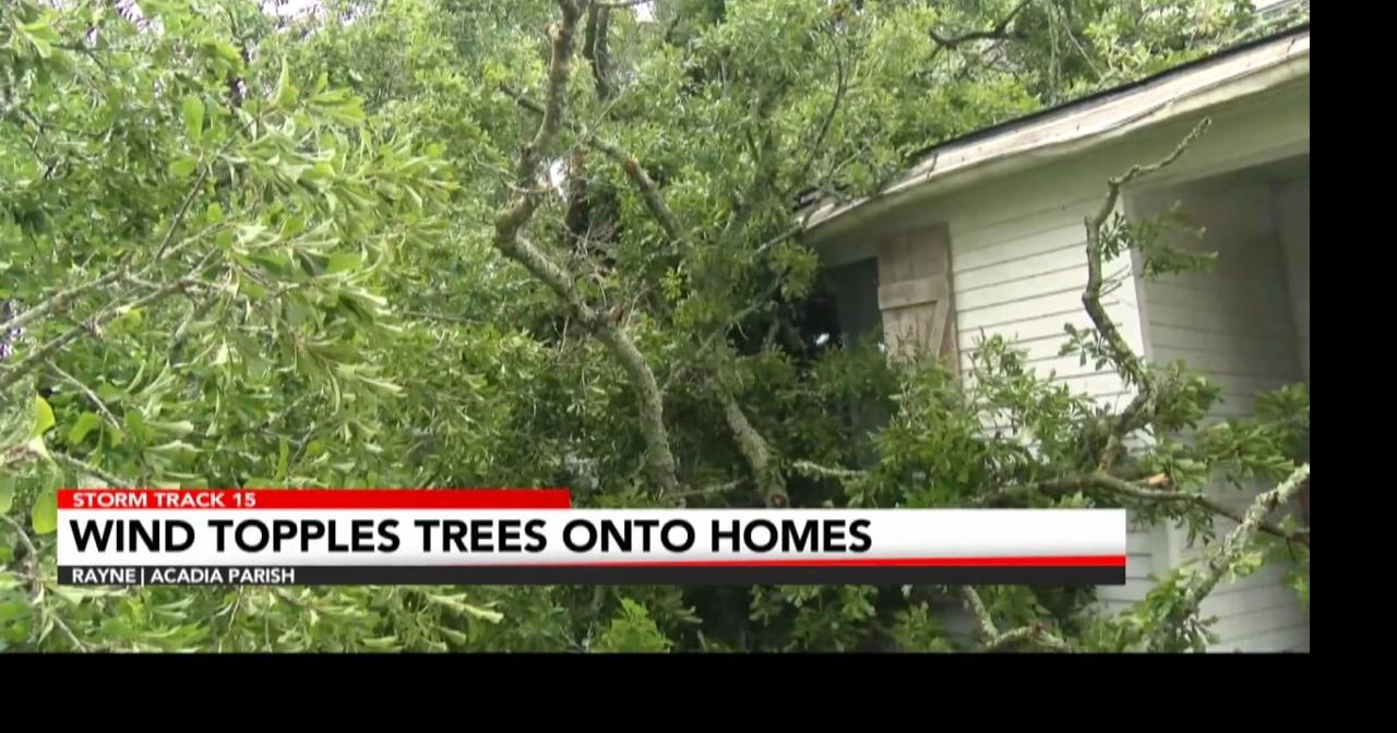 80 mph winds in Rayne topple trees onto homes | Local | kadn.com