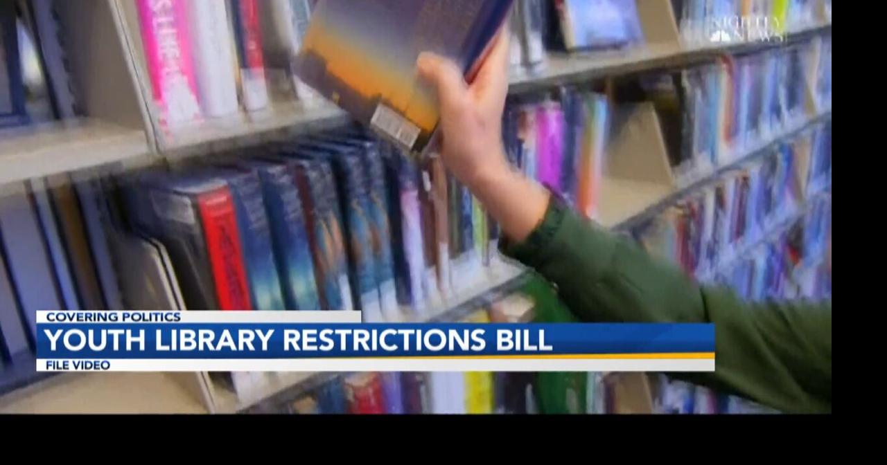 Libraries, Children, and Controversy: Louisiana Bill Stirs Debate on ...
