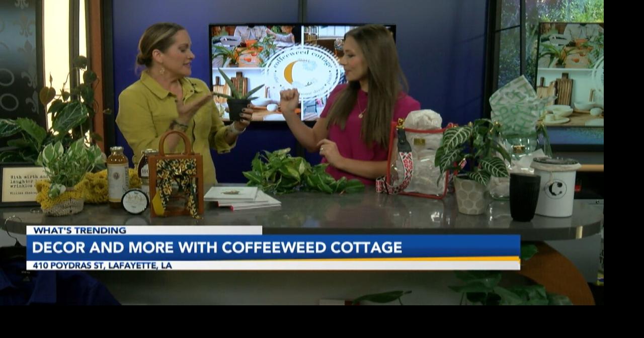 Visit Coffeeweed Cottage! Go For The Coffee, Stay For The Unique Finds ...