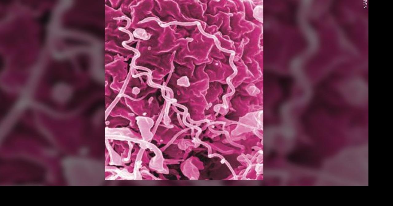 Covering Your Health: Syphilis cases rising in Louisiana | Health ...