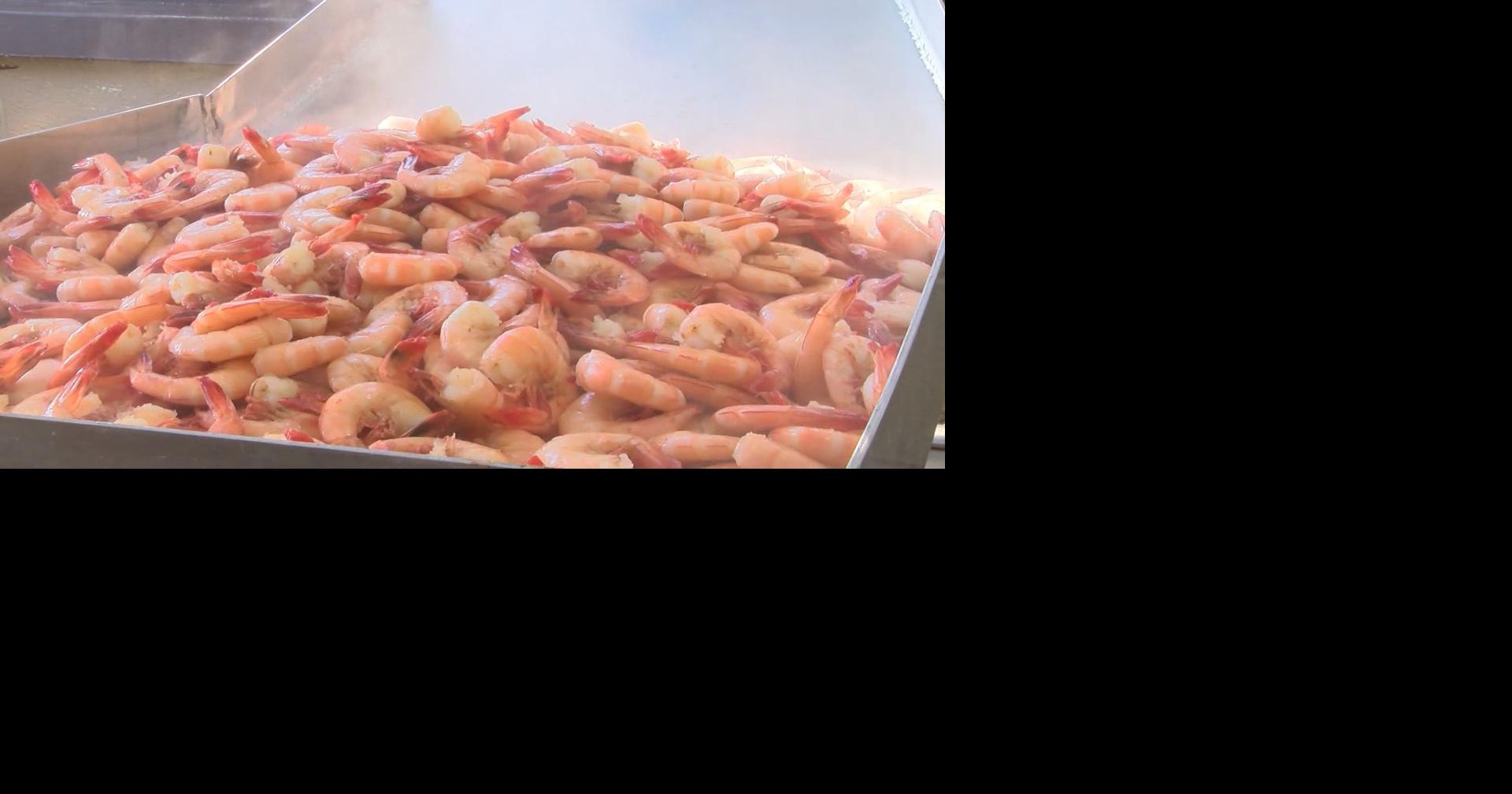 Delcambre Shrimp Festival kicks off | Local | kadn.com