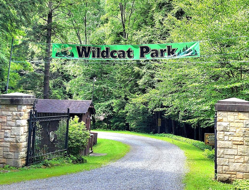 The rich history and community spirit of Wildcat Park ...