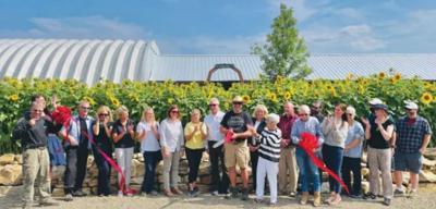 First Annual Pennsylvania Sunflower Festival kicks off of at the Wilds ...