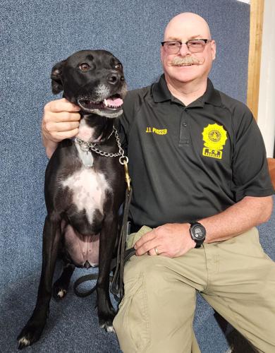 Handler Prosser and Izzy: Meet and greet at the Kane Senior Citizen ...