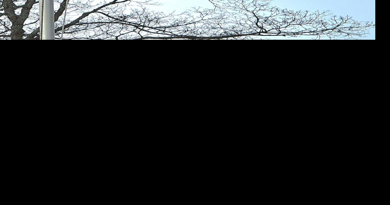 Kane VFW Post 1132 announces upcoming Memorial Day parade and ceremony | News | kanerepublican.com