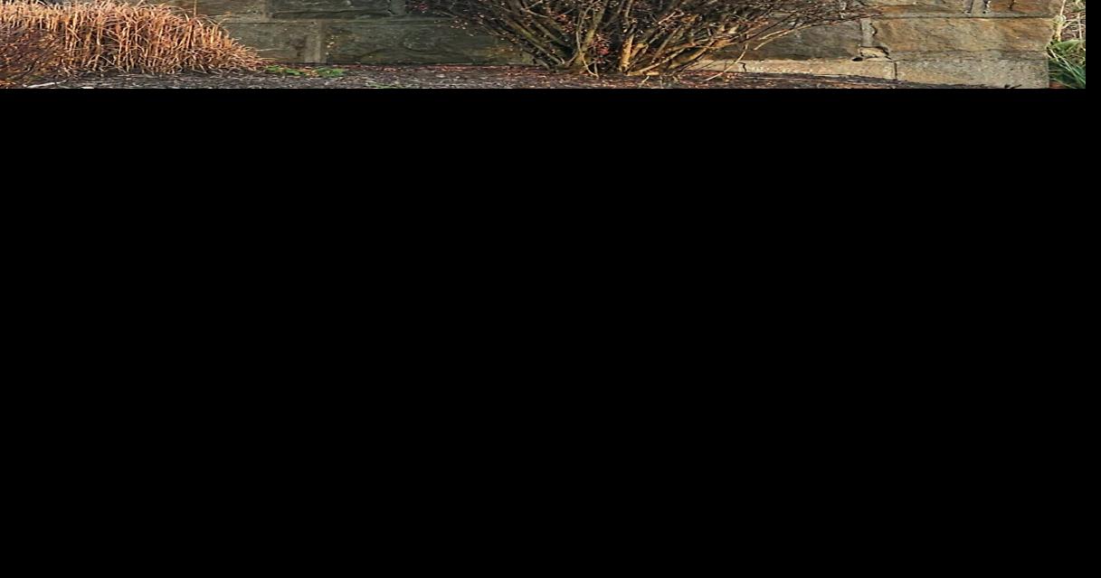 Mount Jewett borough council meeting highlights a resignation request ...