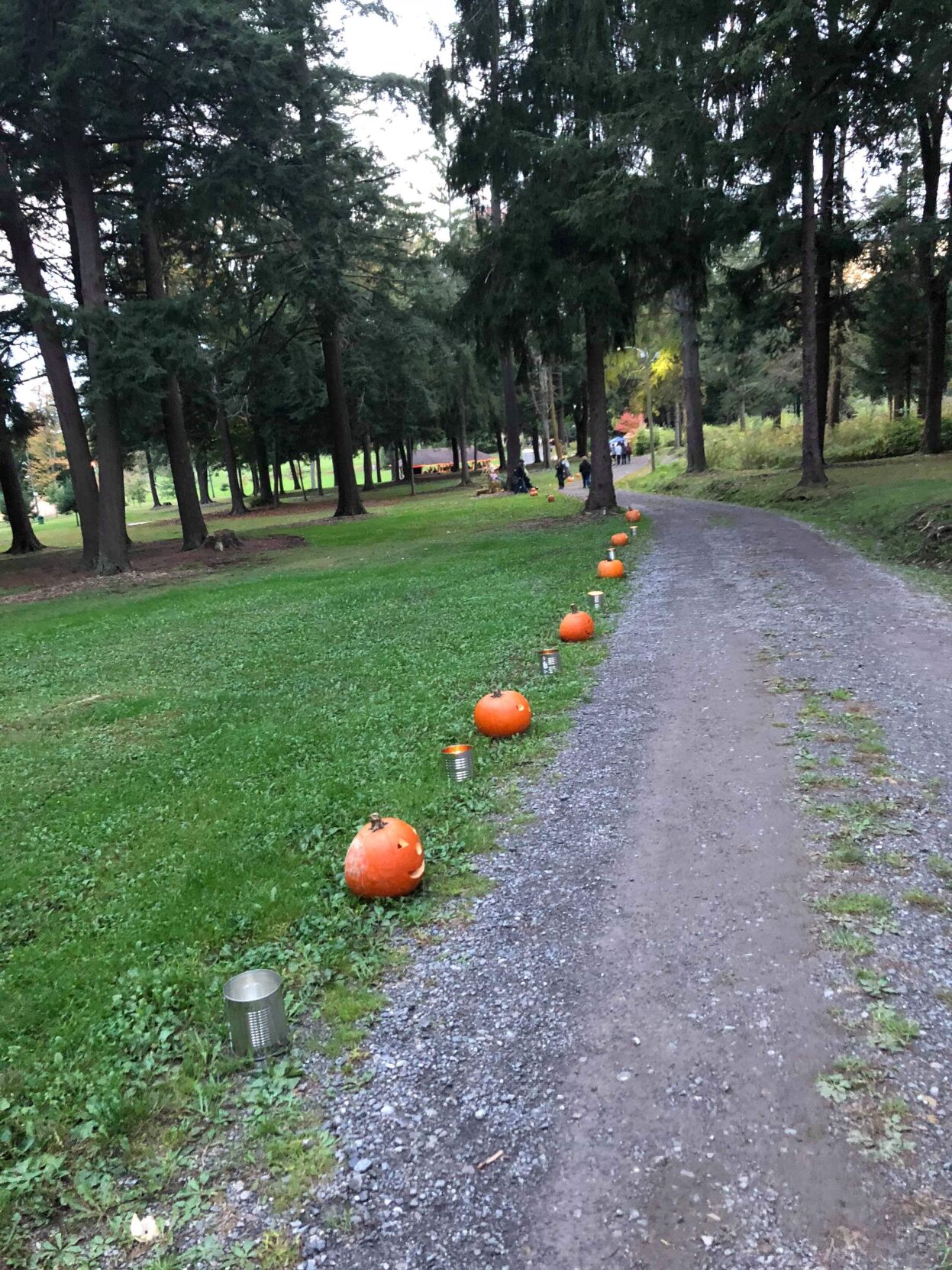 Kane Garden Club looks for new organization to host Pumpkin Walk | News ...