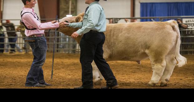 Bell County Youth Fair this week at Expo Center | News | kdhnews.com