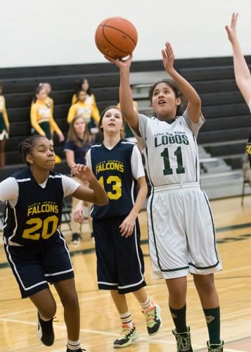 MIDDLE SCHOOL ROUNDUP: 7A Grizzlies open tourney with 42-32 win ...