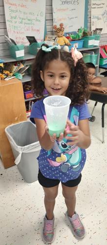 Students channel famous children’s author for science lesson | Copperas ...