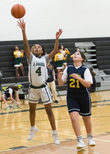 MIDDLE SCHOOL ROUNDUP: 7A Grizzlies open tourney with 42-32 win ...
