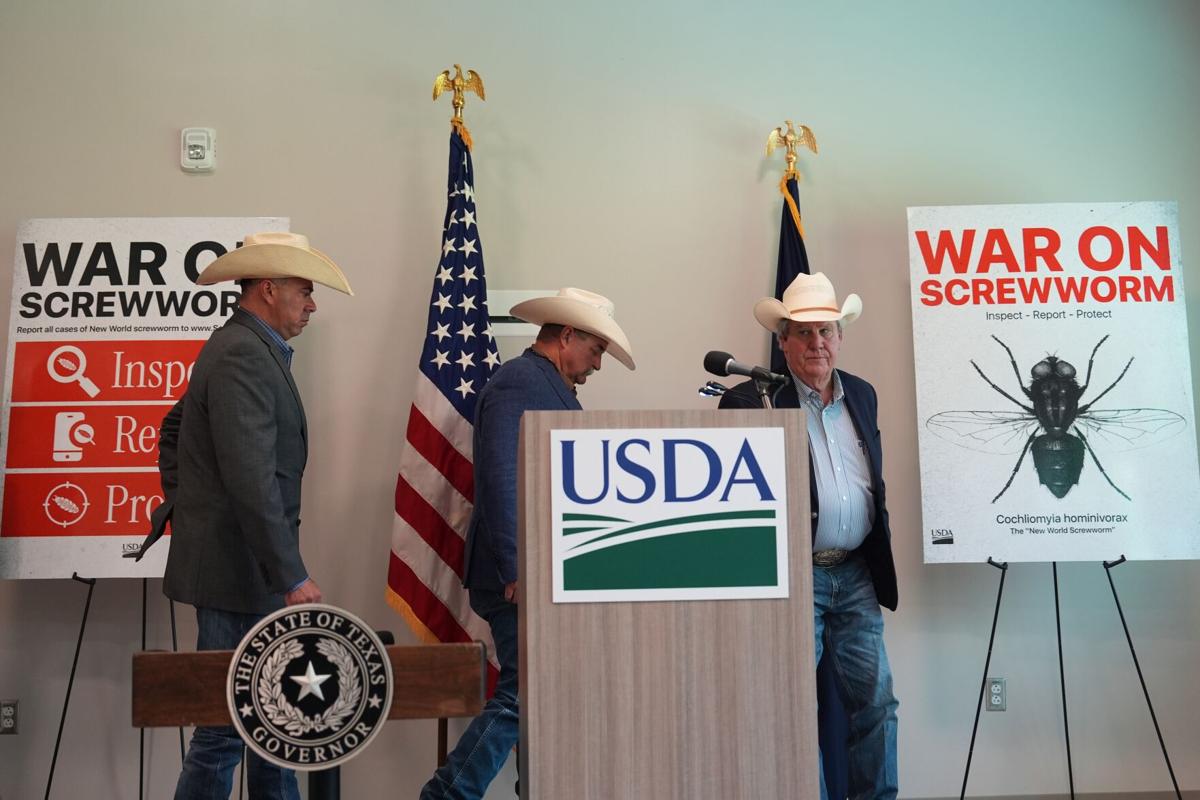 Screwworm Livestock | News | kdhnews.com
