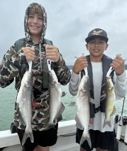 BOB MAINDELLE: Summertime catfishing | Home | kdhnews.com