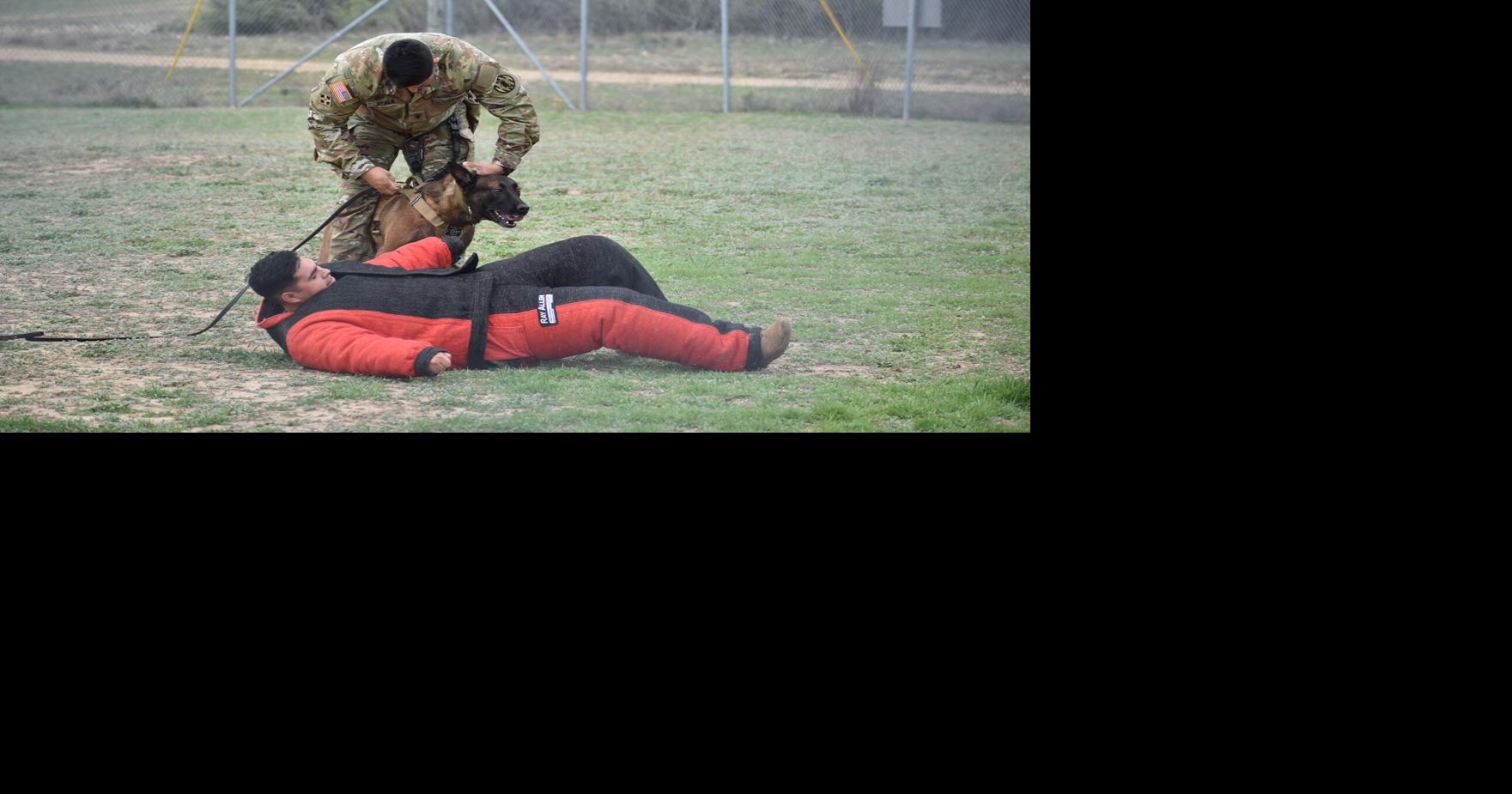 Area law enforcement K-9 units attack Fort Hood for barking good ...