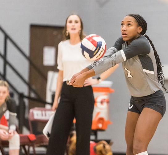 VOLLEYBALL: Ellison's Hibbler named 22-5A Offensive Player of Year ...