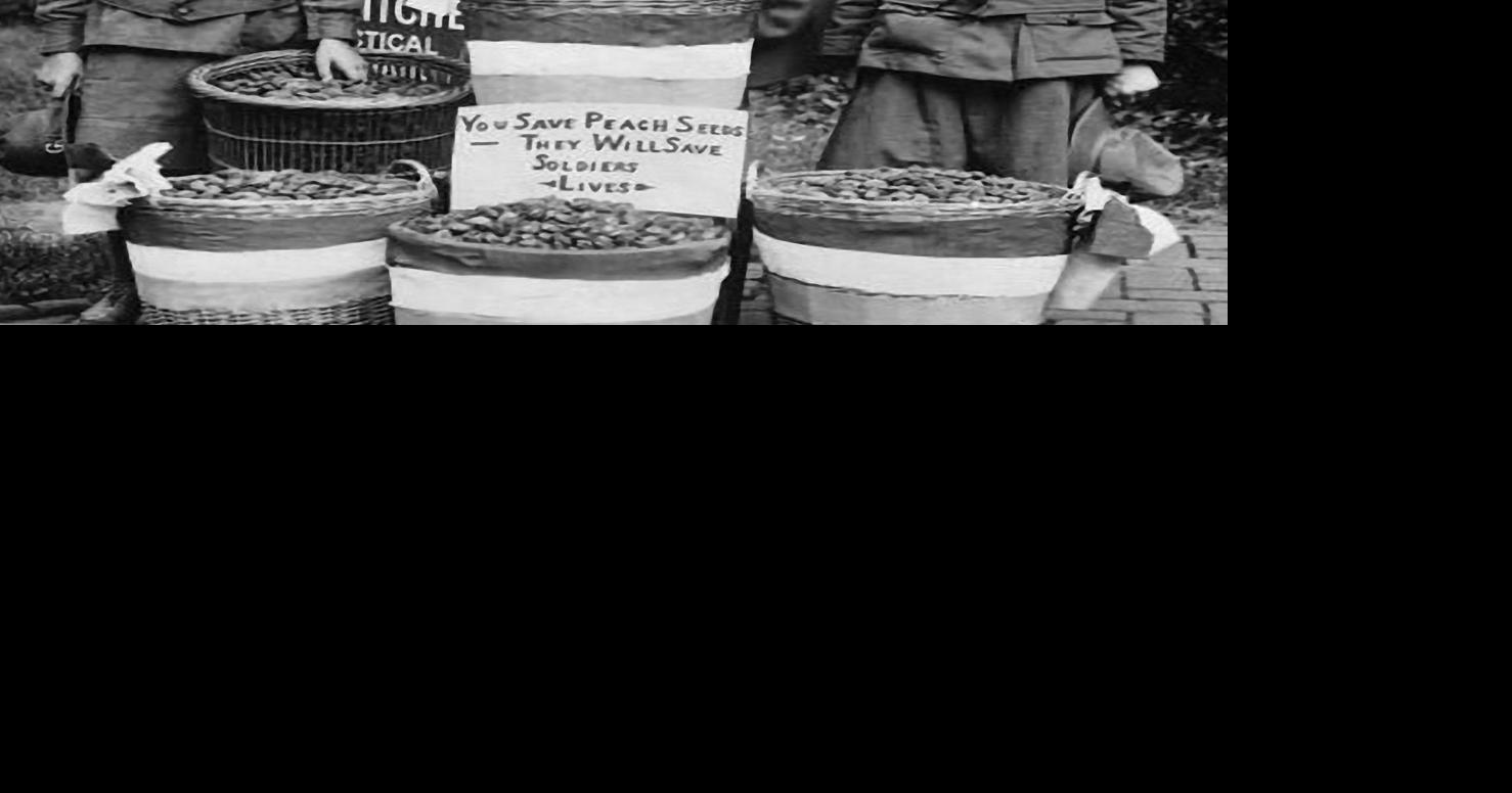 Peaches, other fruits ‘weapons of war’ during 1917 conflict | Local ...