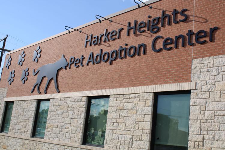 Heights families find new pets during free adoption drive | Community ...