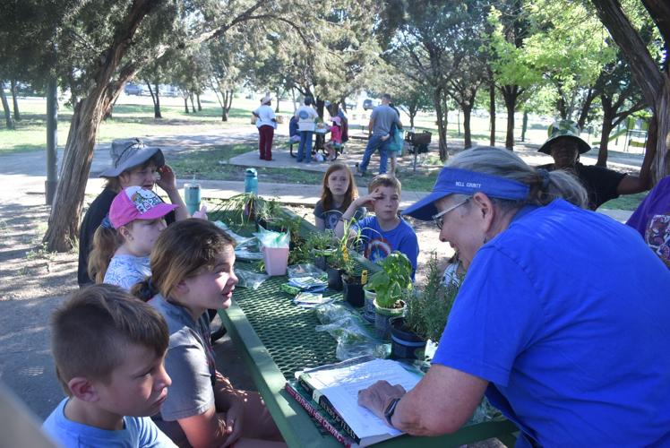 Kids get fun course in gardening at Carl Levin Park | Community ...