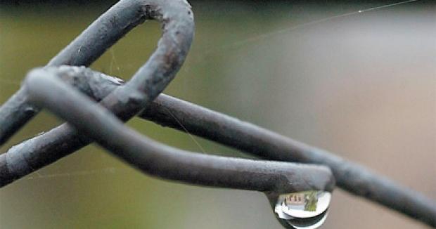 As Ogletree Gap undergoes gradual change, the park continues to ...