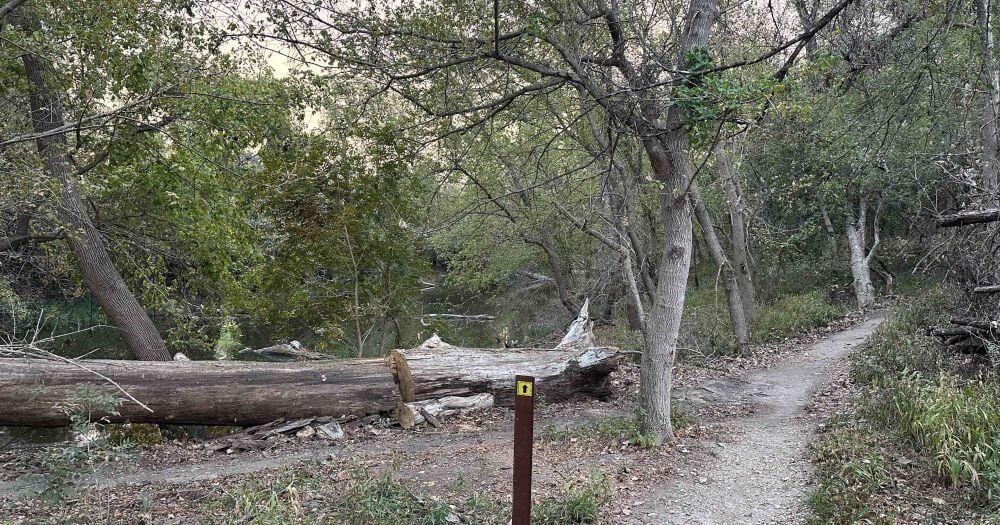 Cleared hiking trails reopen at Miller Springs Nature Center | News ...