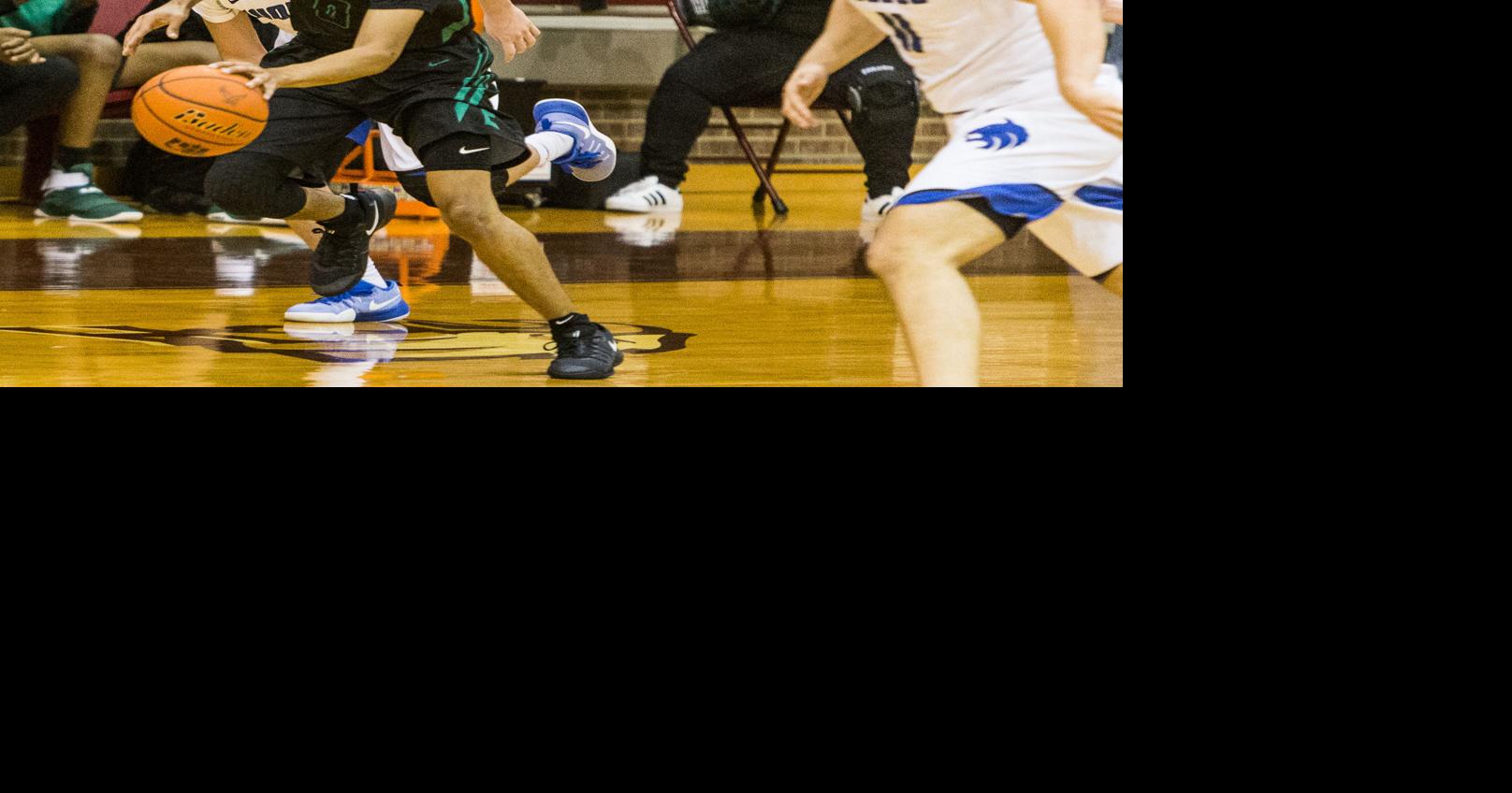 6A BASKETBALL PLAYOFFS: Ellison marches into 3rd round by taking out ...