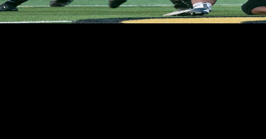 ALLAN MANDELL: Animal on the loose in Gatesville | Gatesville | kdhnews.com